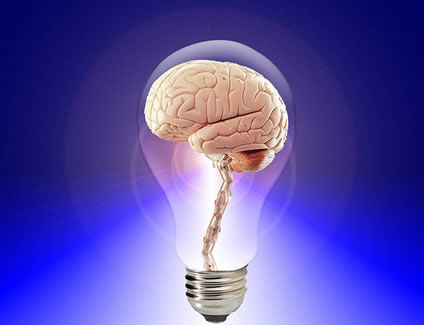 Androginia cerebral. Concepto y beneficios - Proteccion de datos